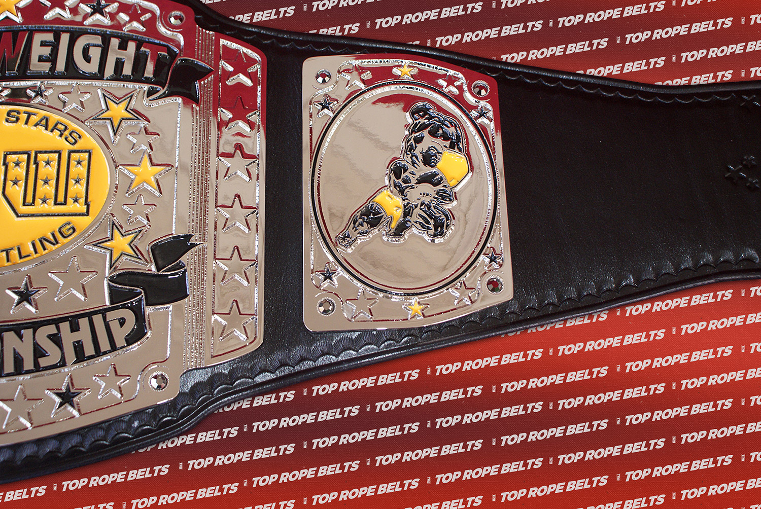 FSW Future Stars of Wrestling Championship Belt | Top Rope Belts